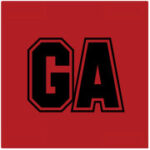 Netball Patches - Velcro Netball Patches - Netball Warehouse