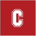 Netball Patches - Velcro Netball Patches - Netball Warehouse