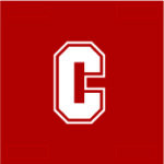 Netball Patches Set - Velcro Netball Patches - Netball Warehouse